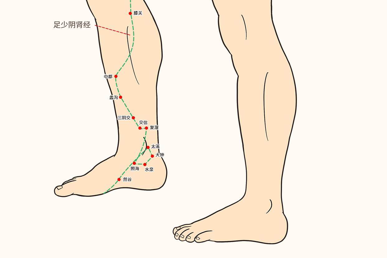 脚部经络图解大全39健康网